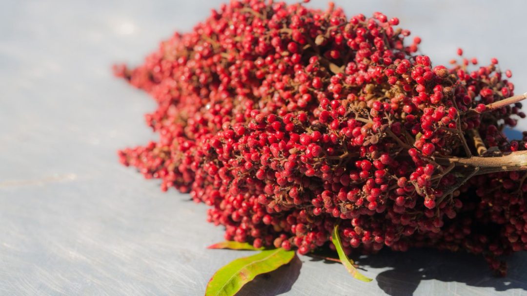 Spice up your life with sumac – Food & Home Magazine