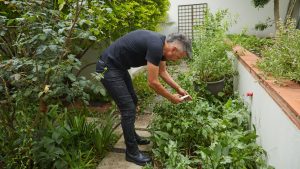 At home with restaurateur and chef David Higgs – Food & Home Magazine