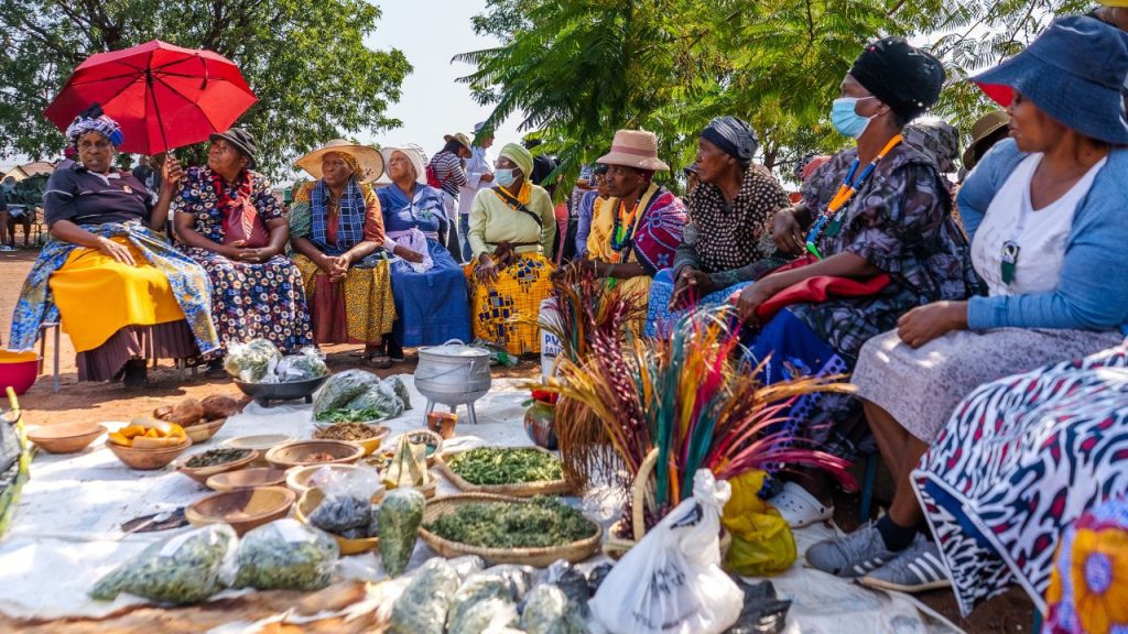 Rediscovering indigenous Mzansi ingredients and flavours – Food & Home ...