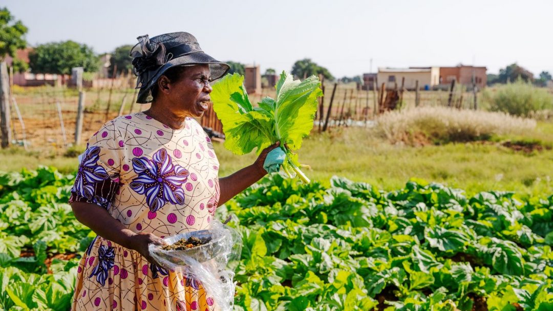 Rediscovering indigenous Mzansi ingredients and flavours – Food & Home ...