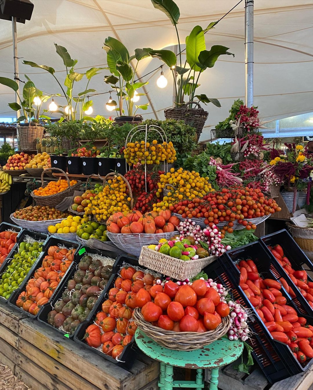 Explore these 10 markets in Cape Town – Food & Home Magazine