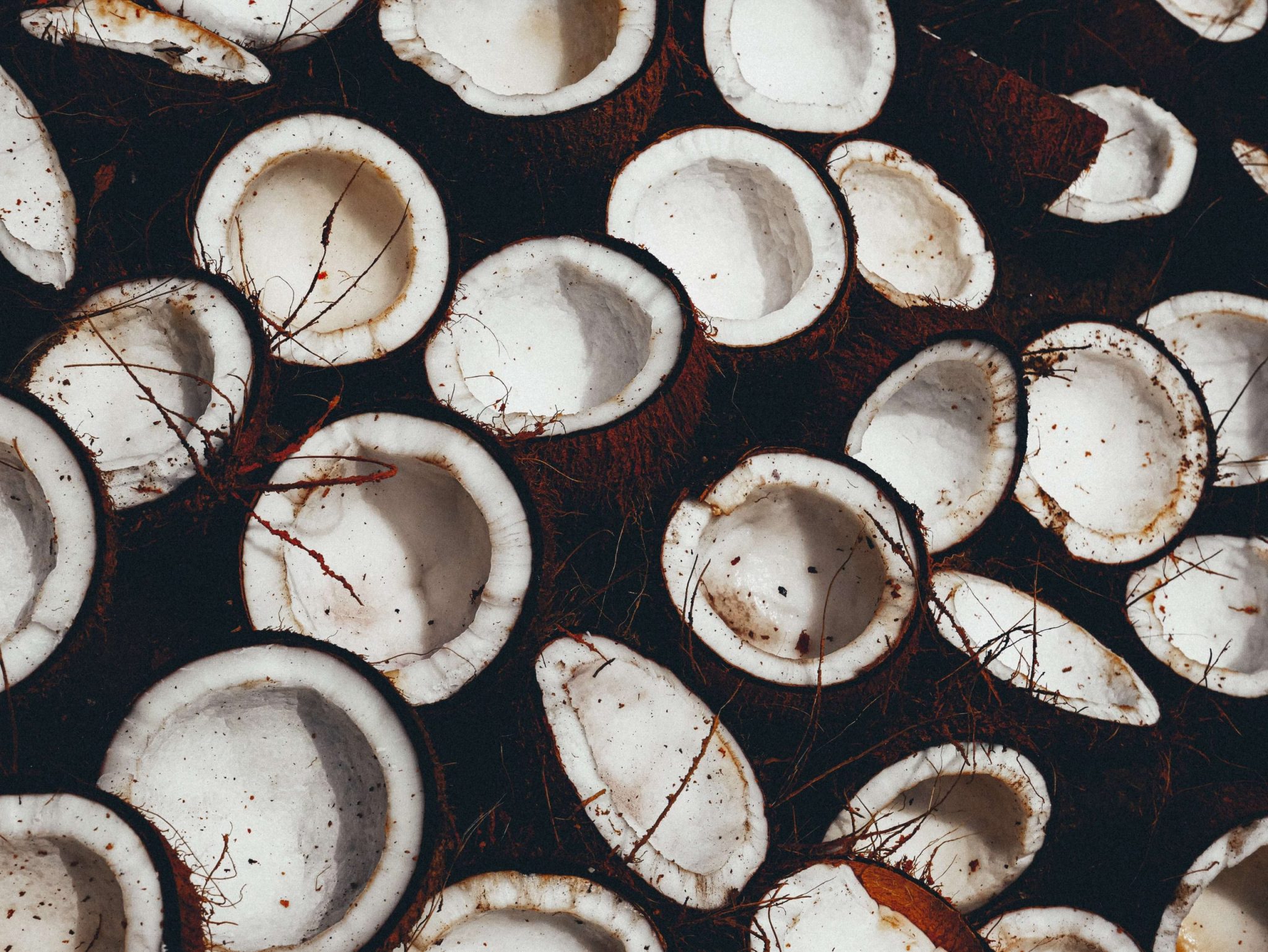 5 Nutritional benefits of coconuts – Food & Home Magazine