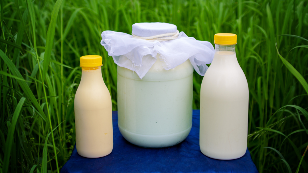 The benefits of amasi – Food & Home Magazine