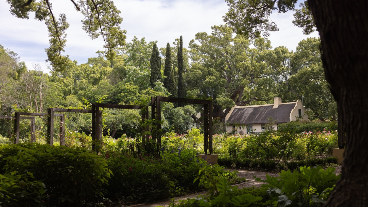 Visit the Rose Terrace at Vergelegen | Food & Home Magazine