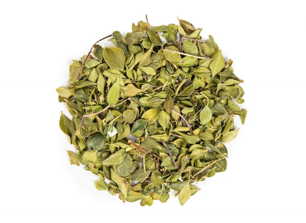 The benefits of buchu – Food & Home Magazine