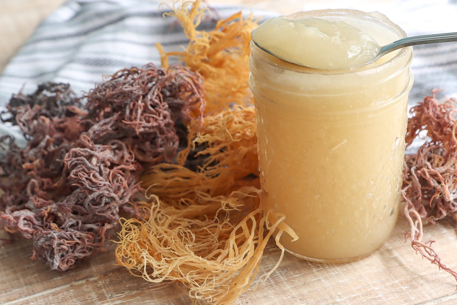 The health benefits of sea moss – Food & Home Magazine
